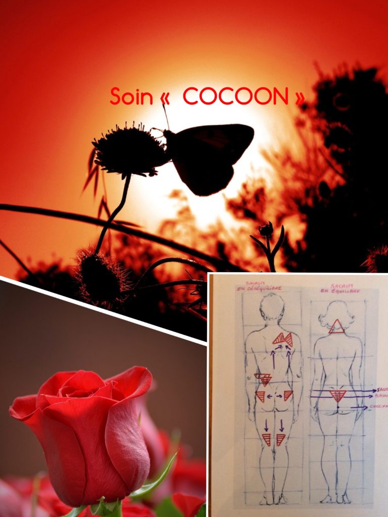 Rouge : Soin "Cocoon" - Echol'in - Formation pour thérapeutes et soins